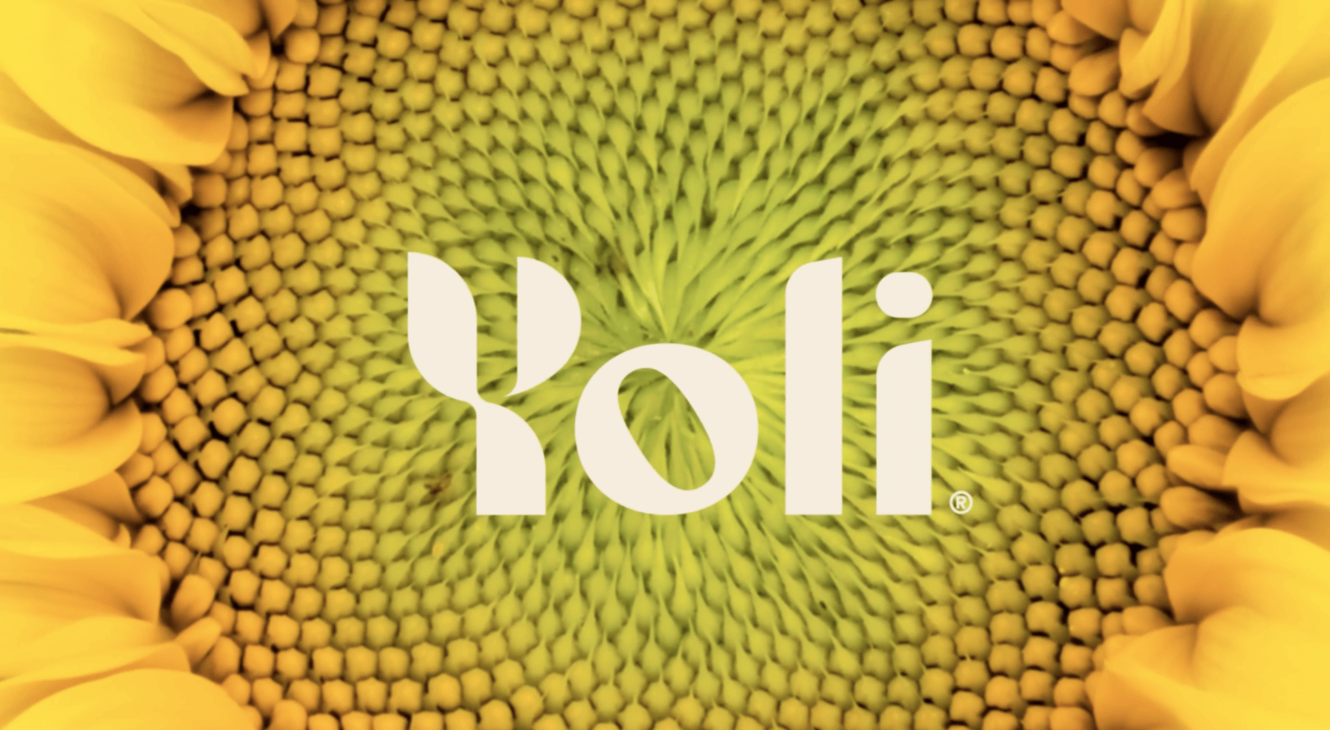 Yoli